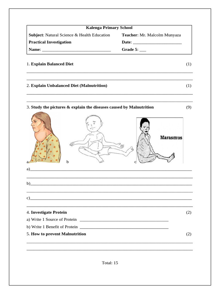 Nutrition Practical Investigation | PDF