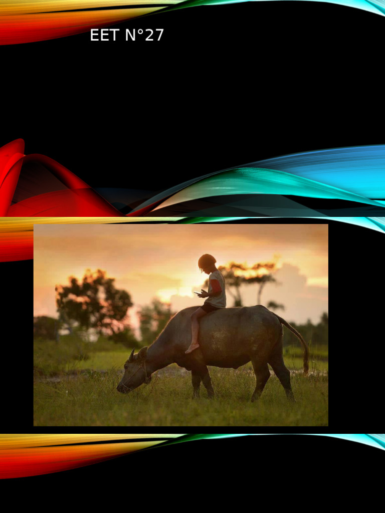 TP1 Informatica | PDF