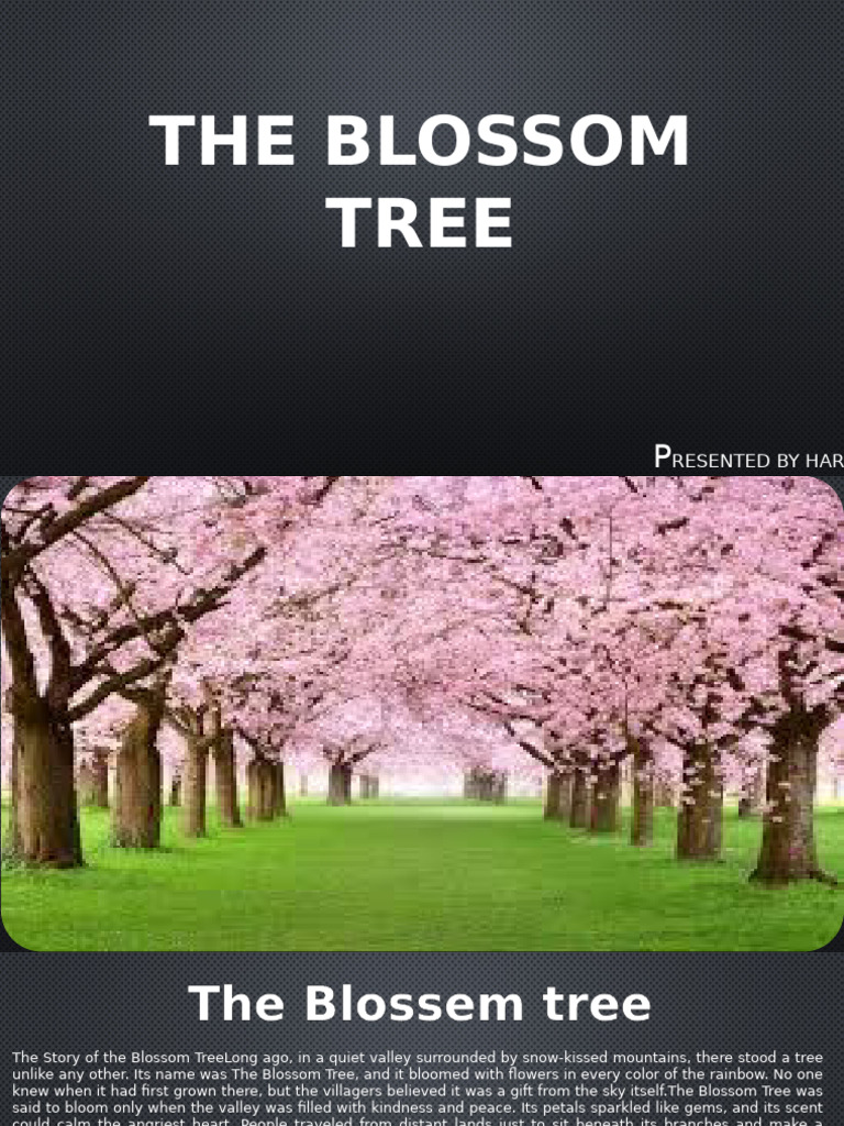Story of Blossom Tree | PDF | Trees