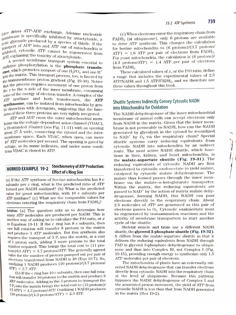 Shuttle System | PDF