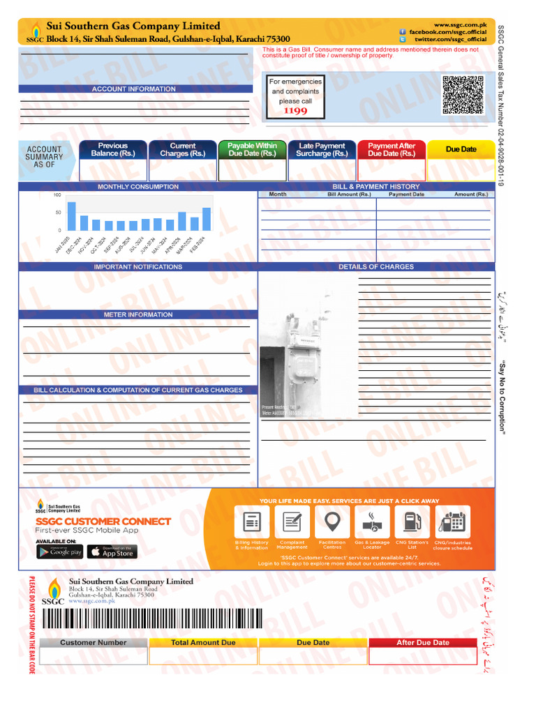 Gasbill 5085371000 202501 20250203174839 | PDF | Economies | Government ...