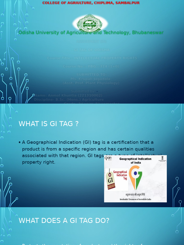 GI Tag Products of Odisha Overview | PDF