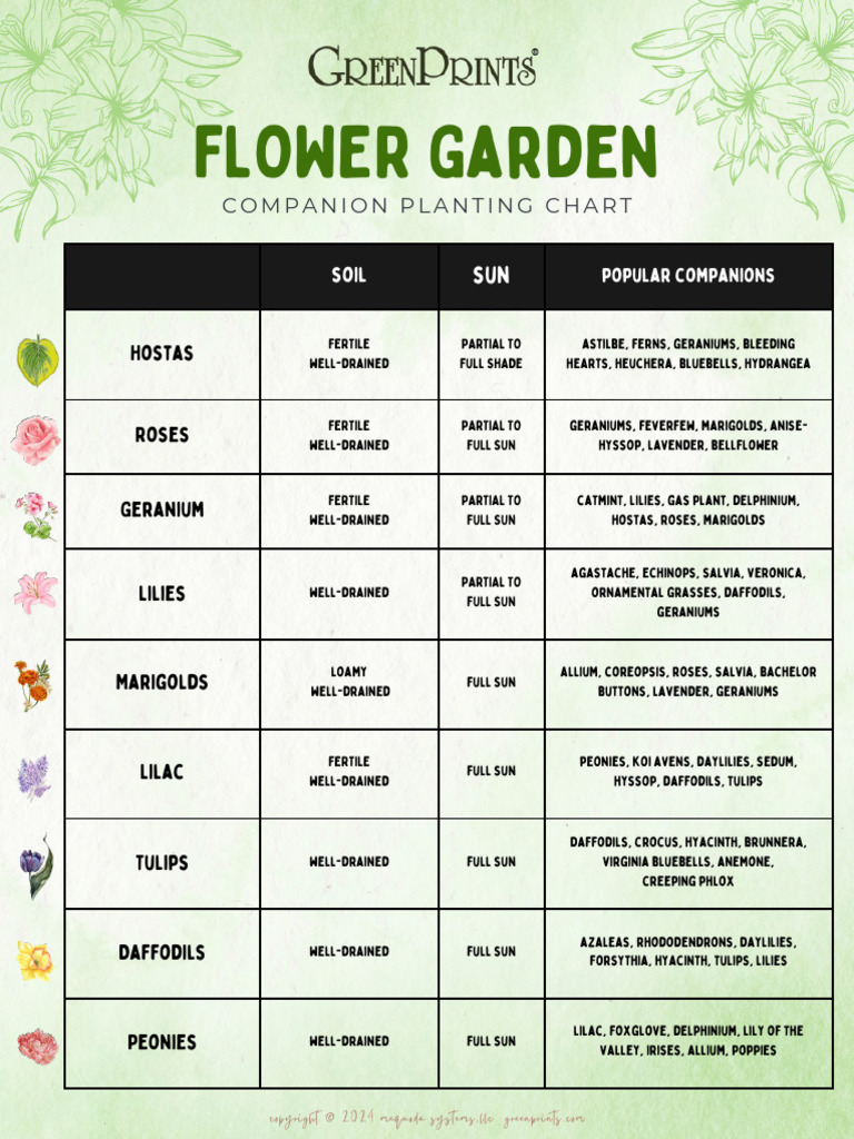 Flower Garden Companion Planting Chart | PDF | Horticulture | Garden Plants
