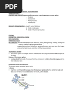 Photosynthesis and Respiration Explained | PDF | Photosynthesis ...