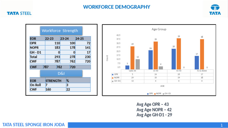 Workforce Demography | PDF