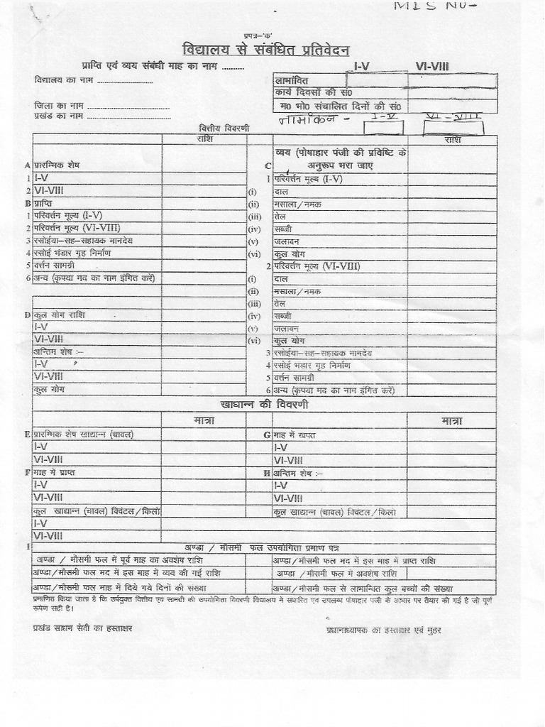 MDM Report Format All 01april22 | PDF