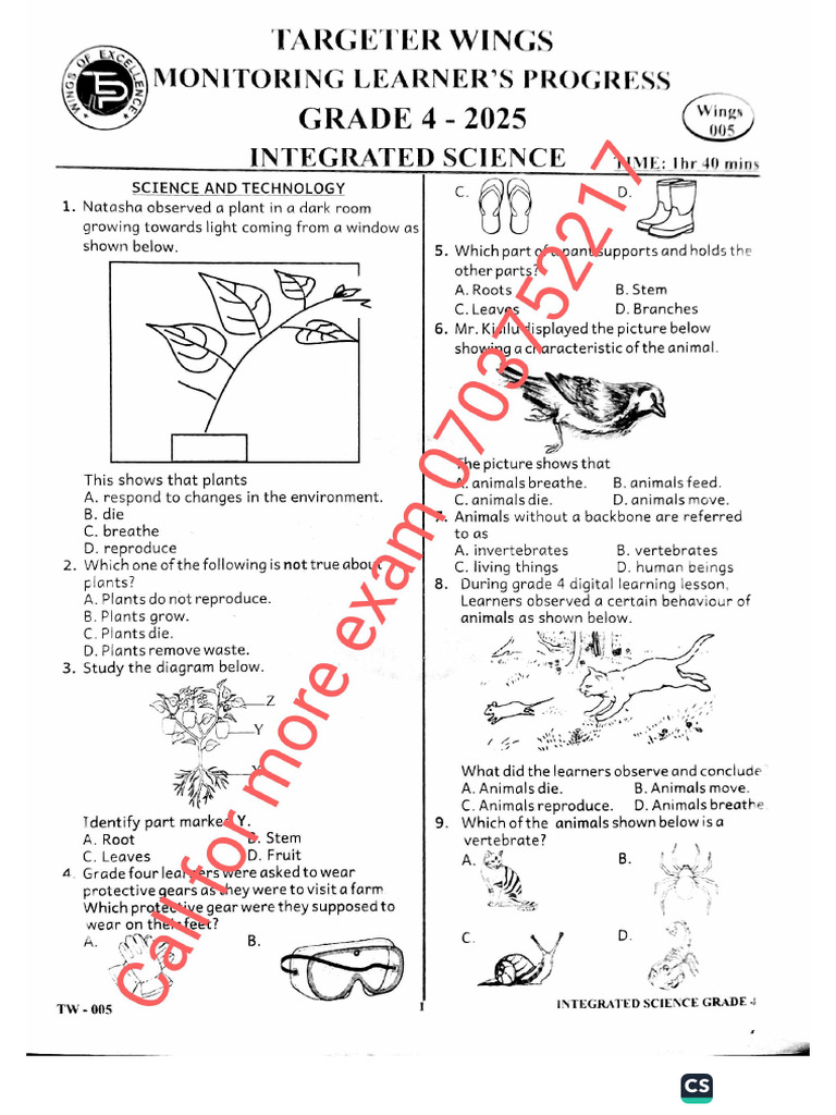 Tws 005 Grade 4 Science | PDF