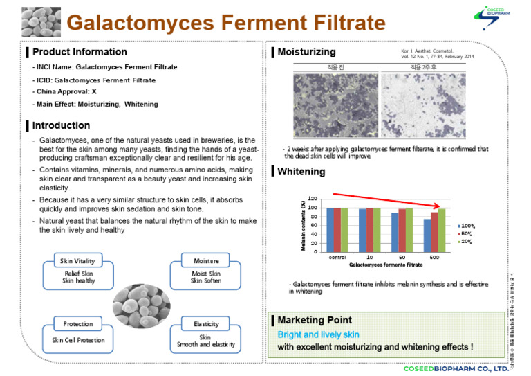 Galactomyces Ferment Filtrate Benefits | PDF | Yeast