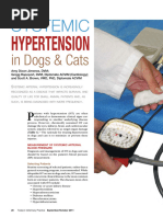 ACVIM Guidelines for Hypertension in Pets | PDF | Hypertension ...