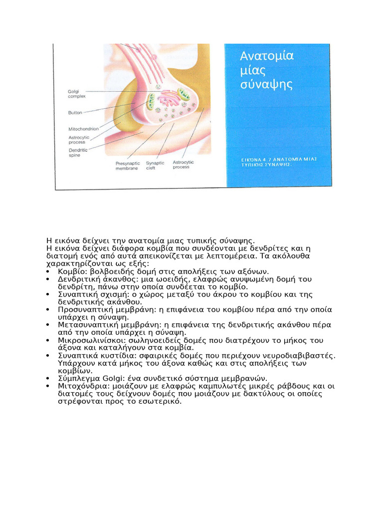 ΚΕΦΑΛΑΙΟ 4 β | PDF