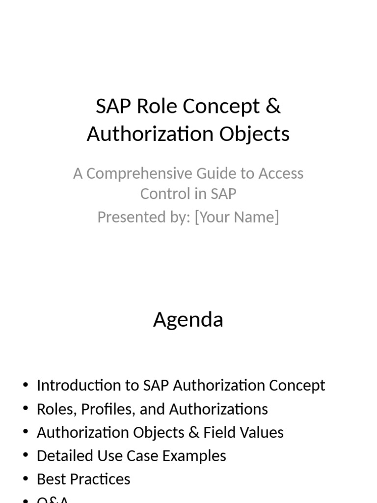 SAP Role-Based Access Control Guide | PDF | Information Science ...