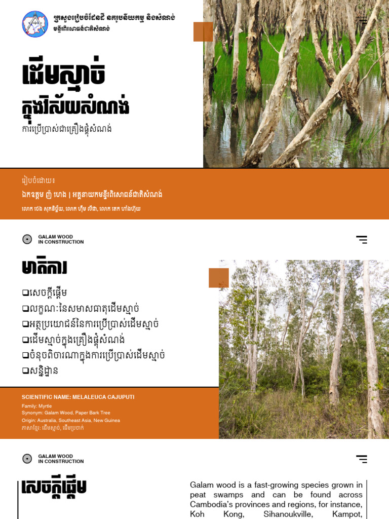 Galam Wood: A Sustainable Construction Solution | PDF | Wood ...