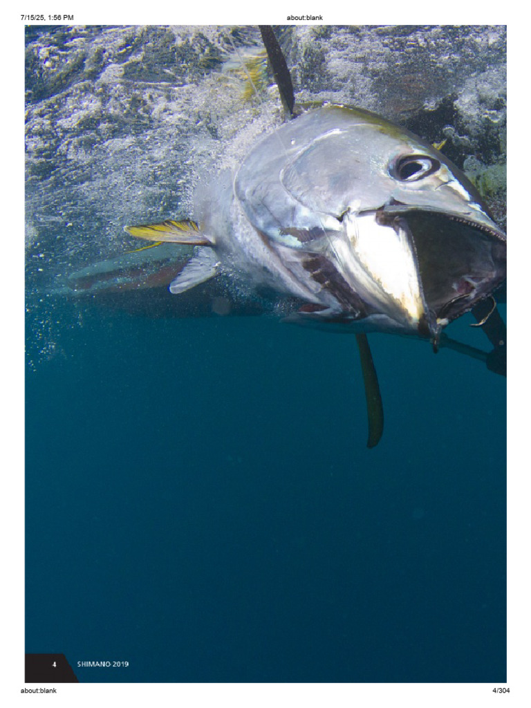 Pages From Shimano Catalog-4 | PDF