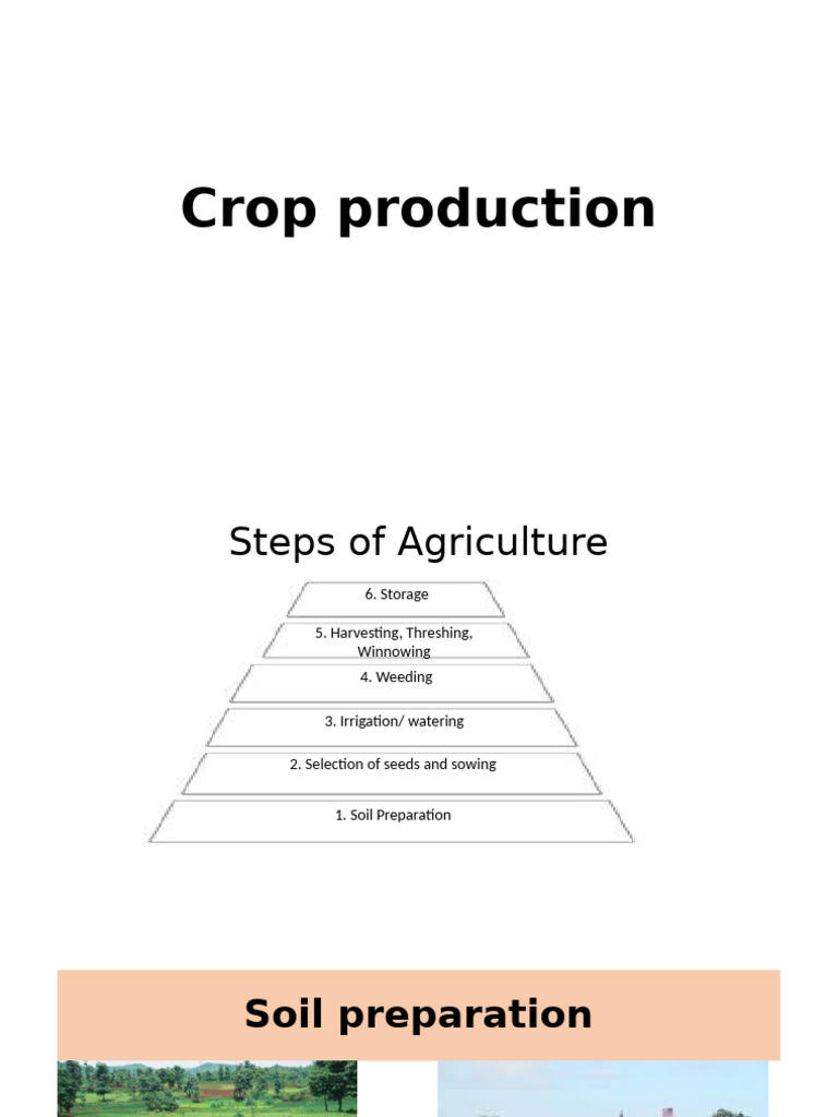 Essential Steps in Crop Production | PDF