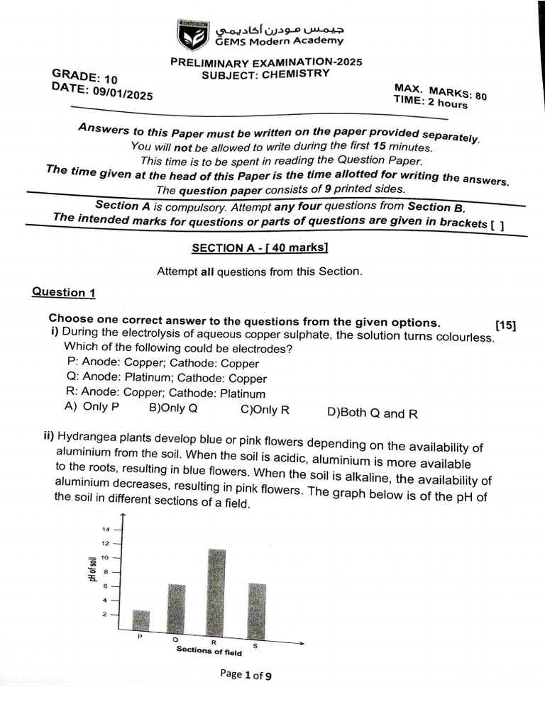 ACE Scanner Document Overview | PDF