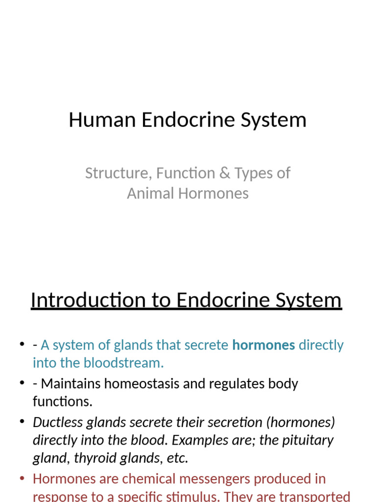 Human Endocrine System Presentation | PDF | Endocrine System | Hormone