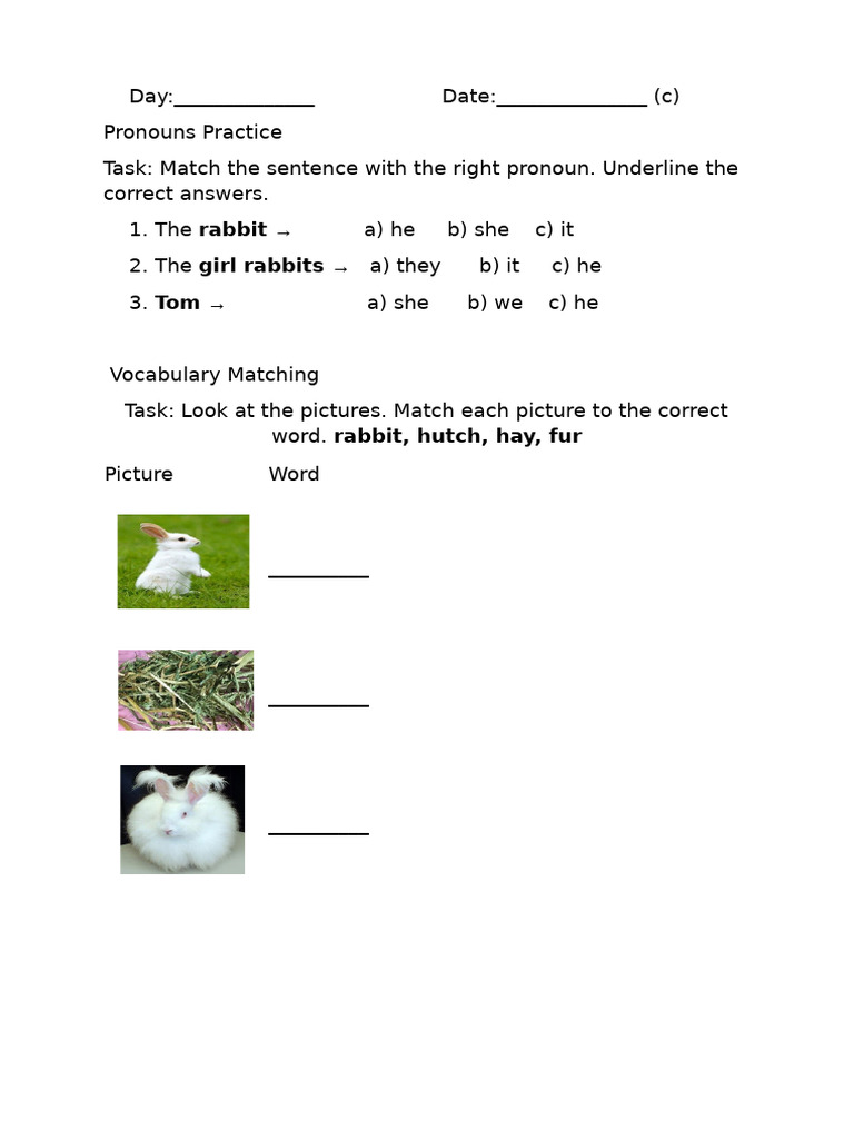 Low Ability Student Comprehension Rabbit | PDF