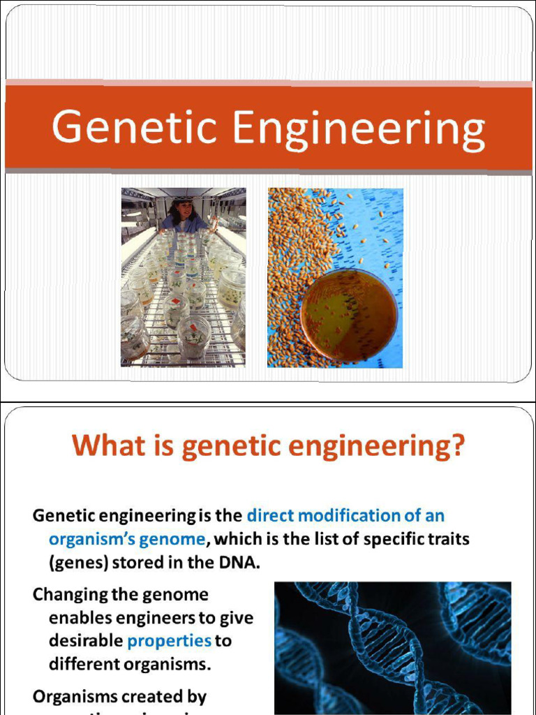 Processof Genetic Engineering | PDF