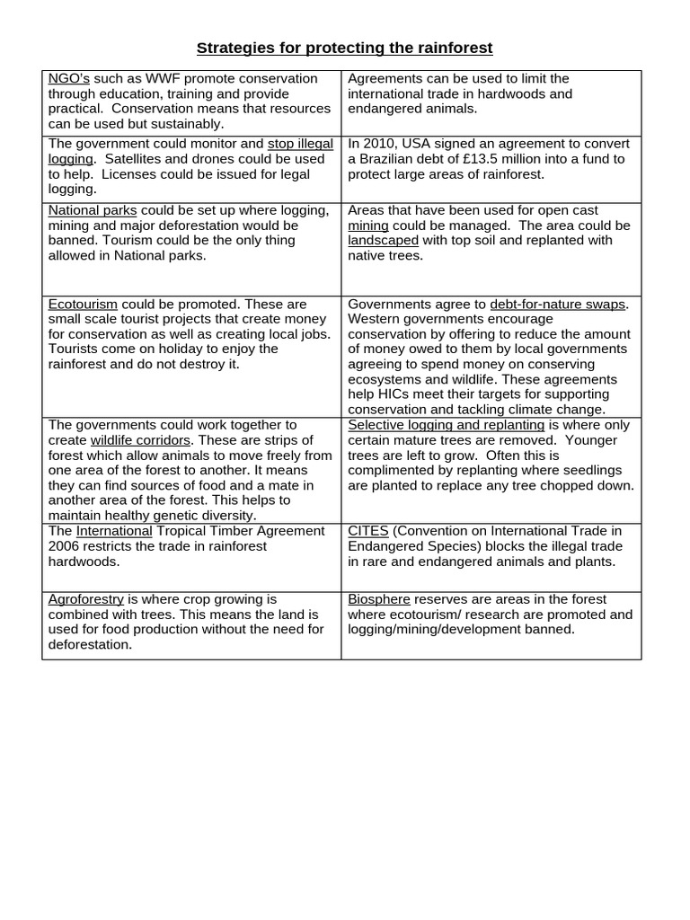 L10 Strategies To Protect The Rainforest | PDF | Conservation Biology ...