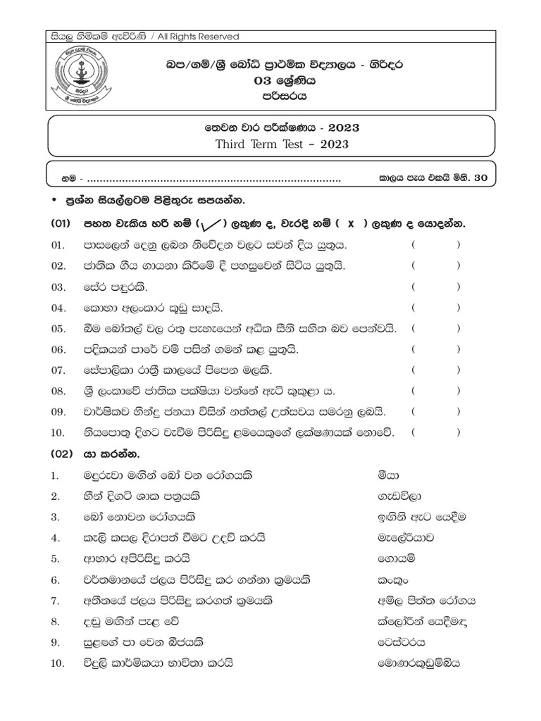 Grade 3 Third Term Test Paper 2023 | PDF