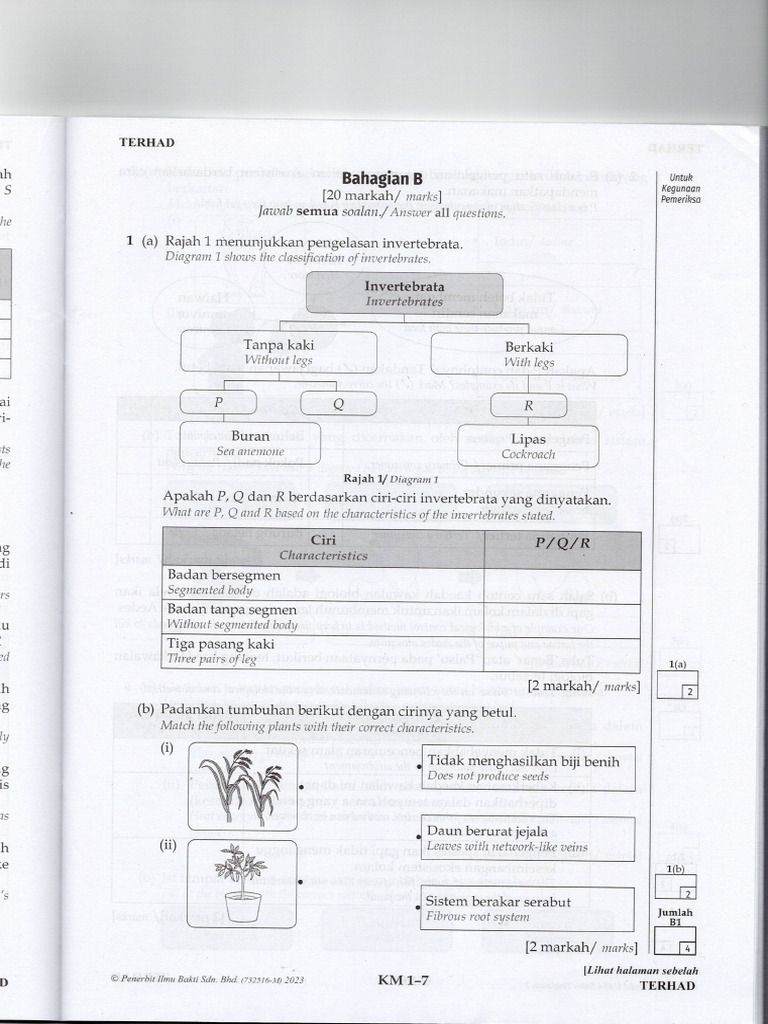 Revision Worksheet Chapter 1-7 | PDF