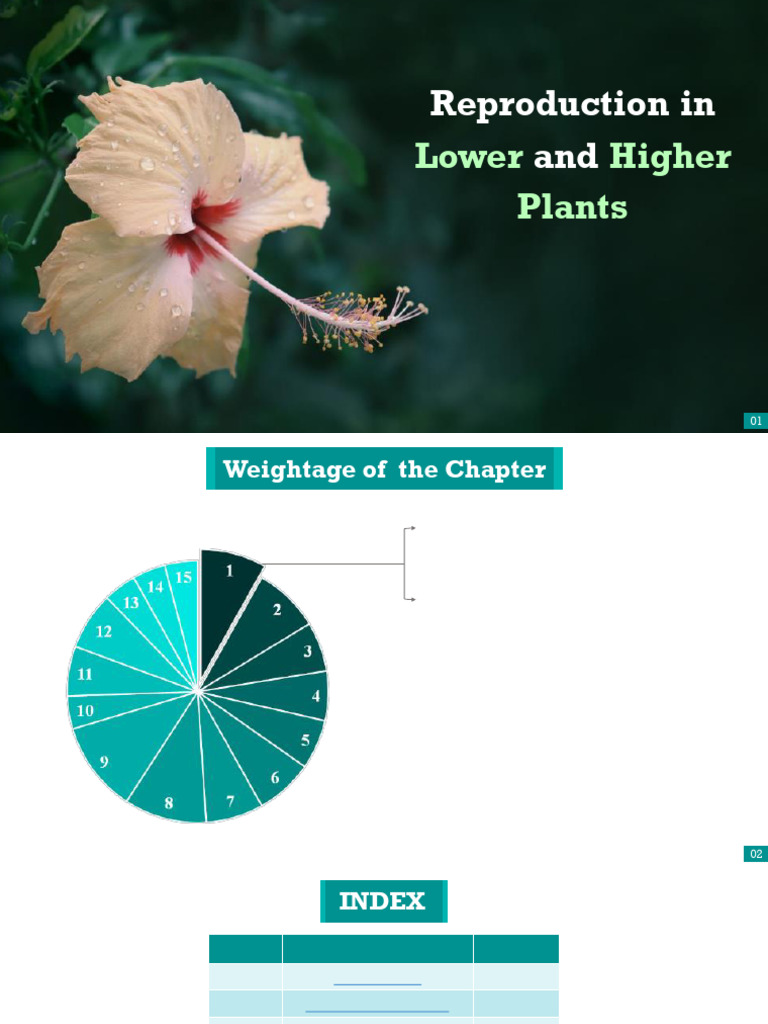 Reproduction in Plants: A Study Guide | PDF | Pollen | Plants
