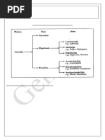 Chaetae Structure and Formation in Polychaetes | PDF | Anatomical Terms ...