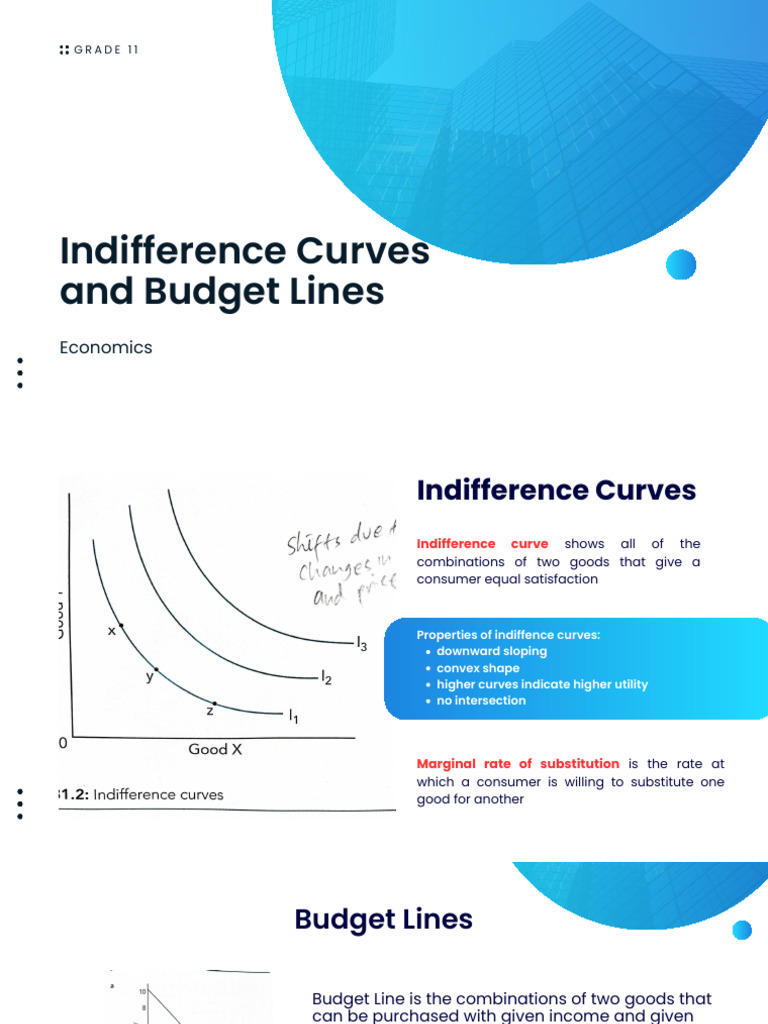 Indifference Curves and Budget Lines Explained | PDF | Business ...
