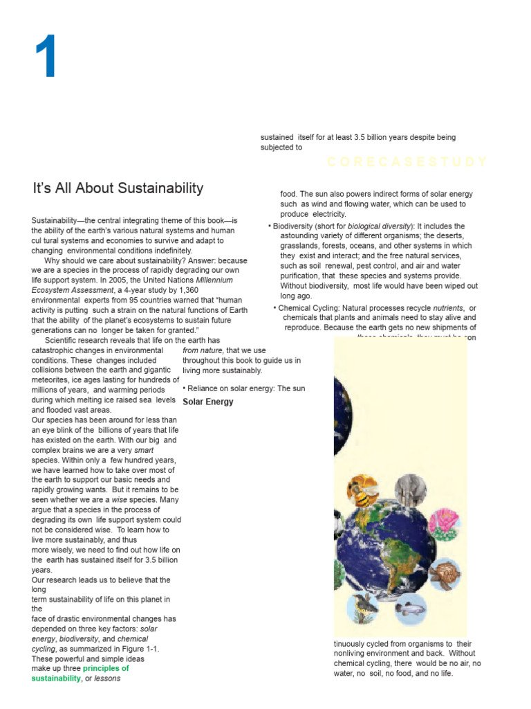 Understanding Sustainability Principles | PDF | Sustainability | Soil