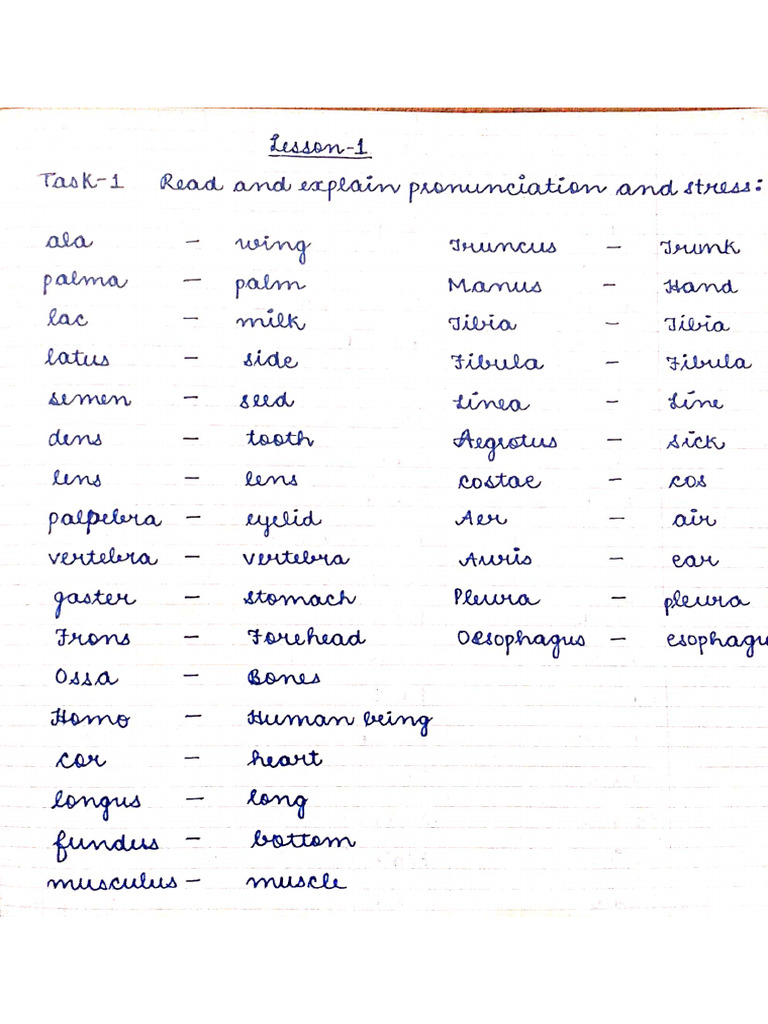 Latin | PDF