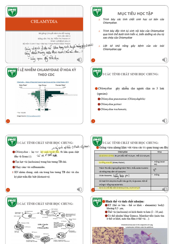 5 - Chlamydia PDF | PDF