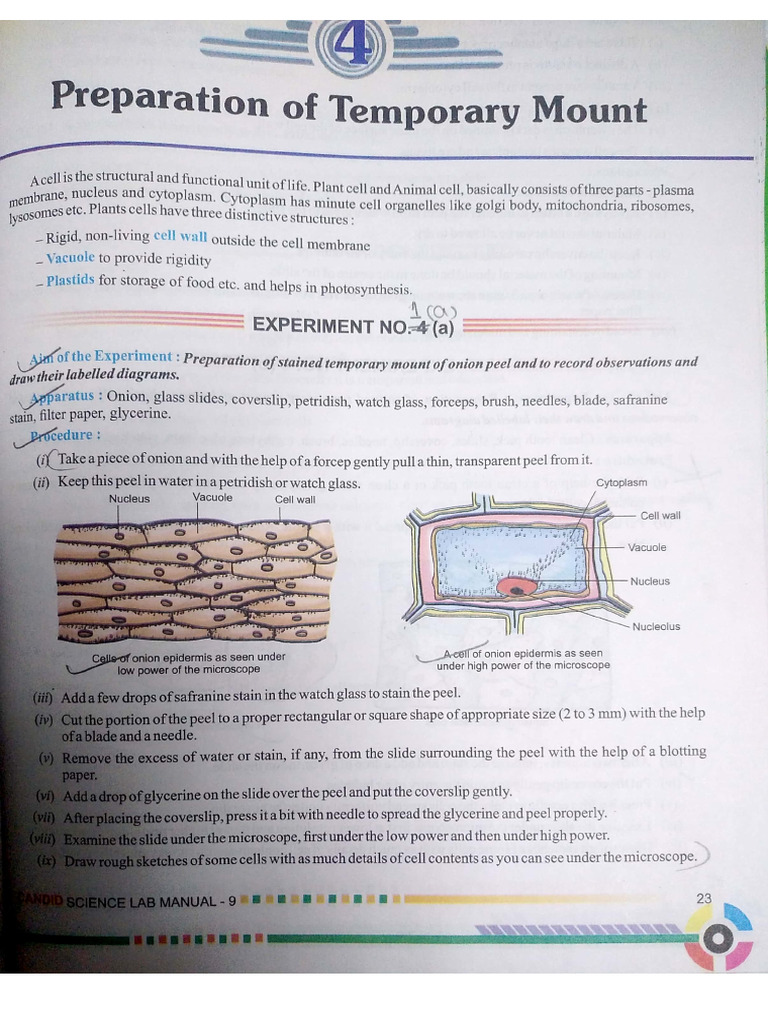 Science Lab Manual Class 9-1 | PDF