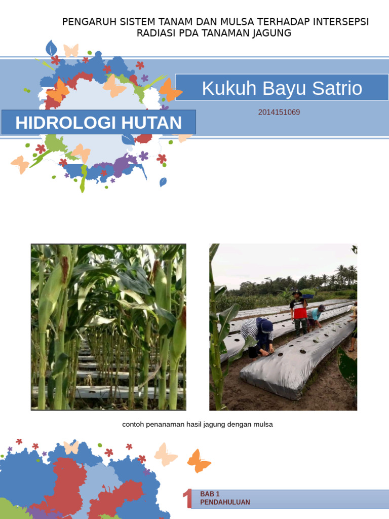 Hidrologi Hutan KUBAY | PDF