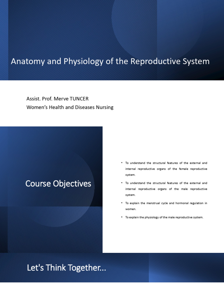 Reproductive System Anatomy & Physiology | PDF | Uterus | Vagina
