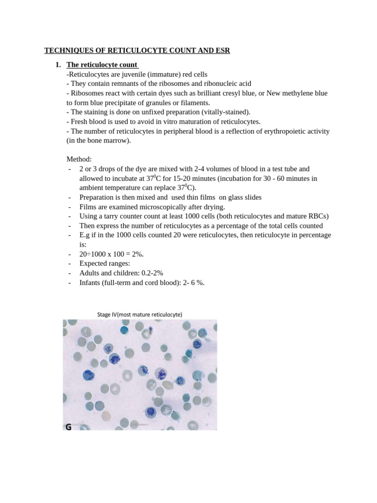 Reticulocyte Count and ESR Techniques | PDF | Red Blood Cell | Medical ...