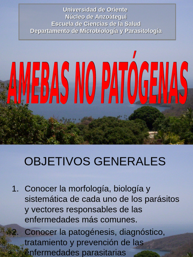 Amebas No Patogenas | PDF