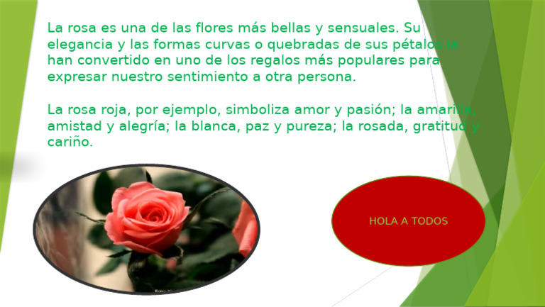 La Rosa Laura | PDF