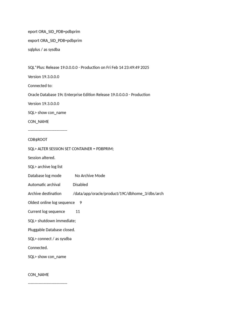 Enable Archive Log in Oracle 19c | PDF