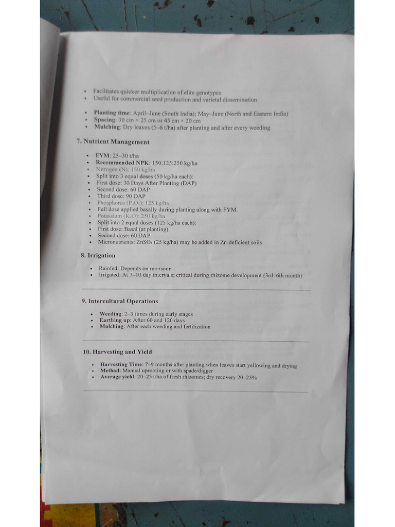 turmeric_production | PDF