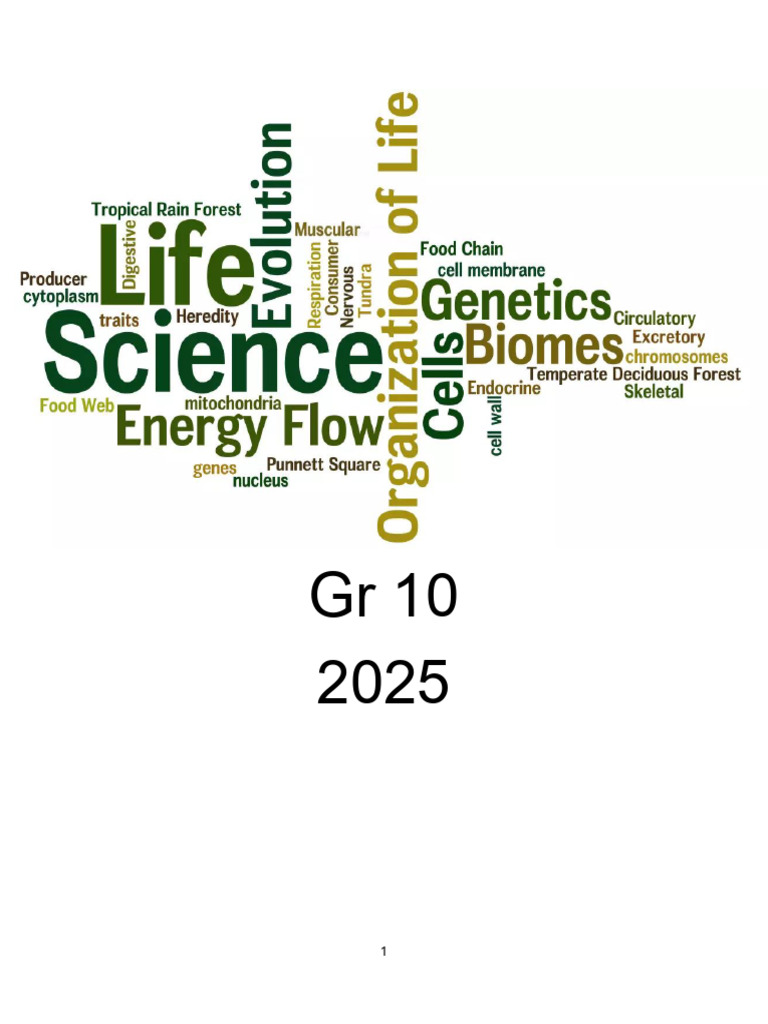 GR 10 WorkBook | PDF | Food Web | Ecosystem