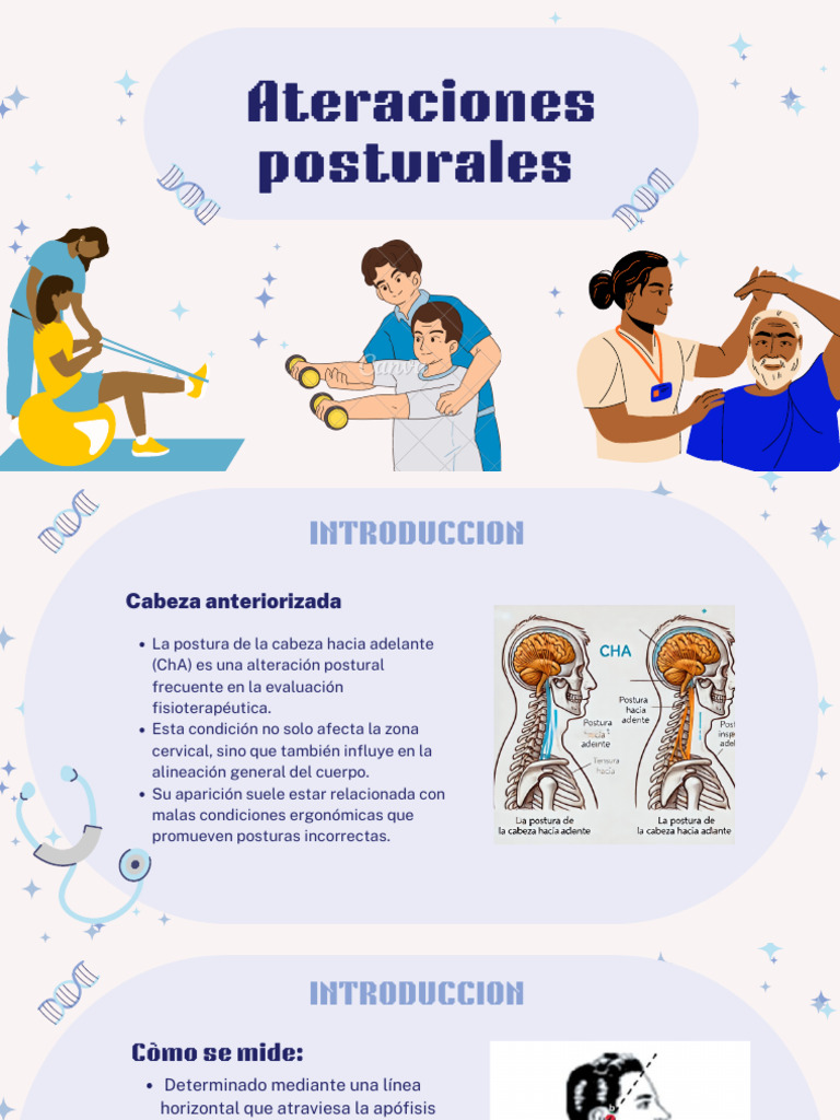 Alteraciones Posturales y Consecuencias | PDF | Hombro | Tórax