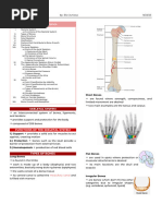 The Skeletal System Answer Key | PDF