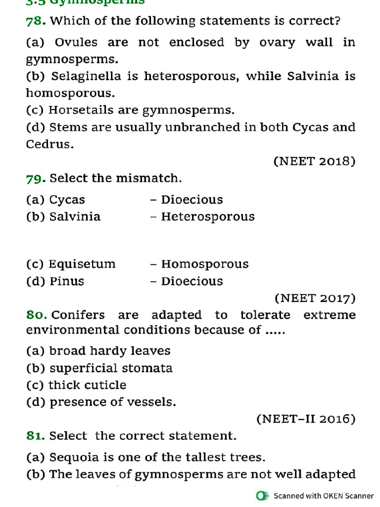 Gymnosperms and Angiosperm Neet Mcqs | PDF