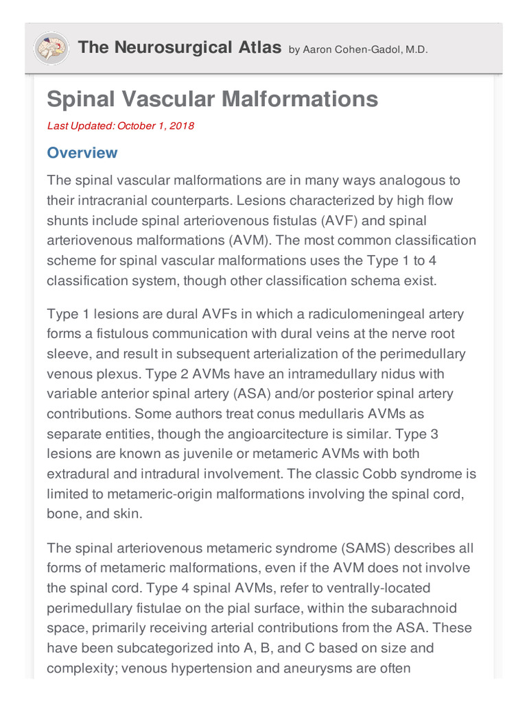 Spinal Vascular Malformations | PDF | Vein | Angiography