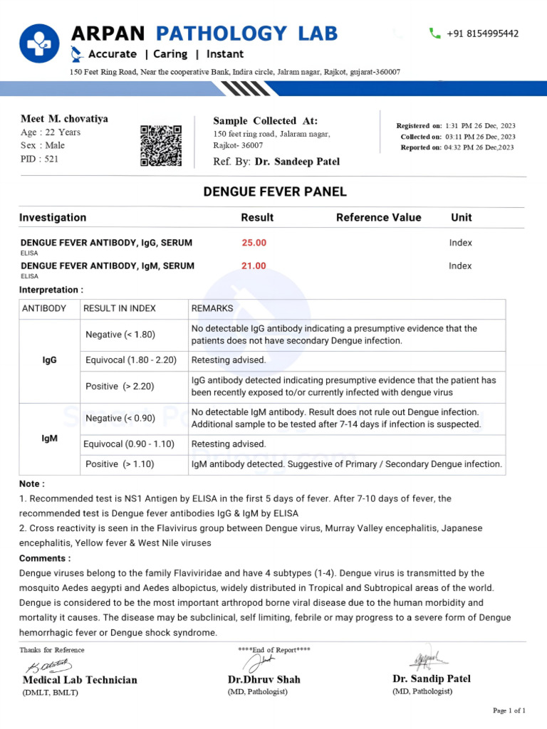 Meet Report 521 | PDF