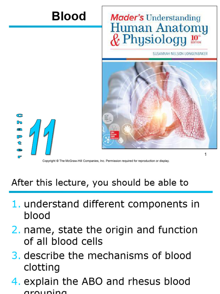 Understanding Blood Components and Functions | PDF | Blood Type | White ...