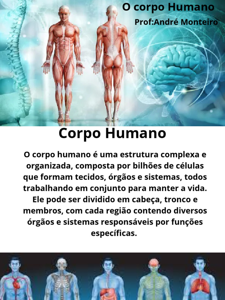 Estrutura e Funções do Corpo Humano | PDF | Corpo humano | Sistema ...