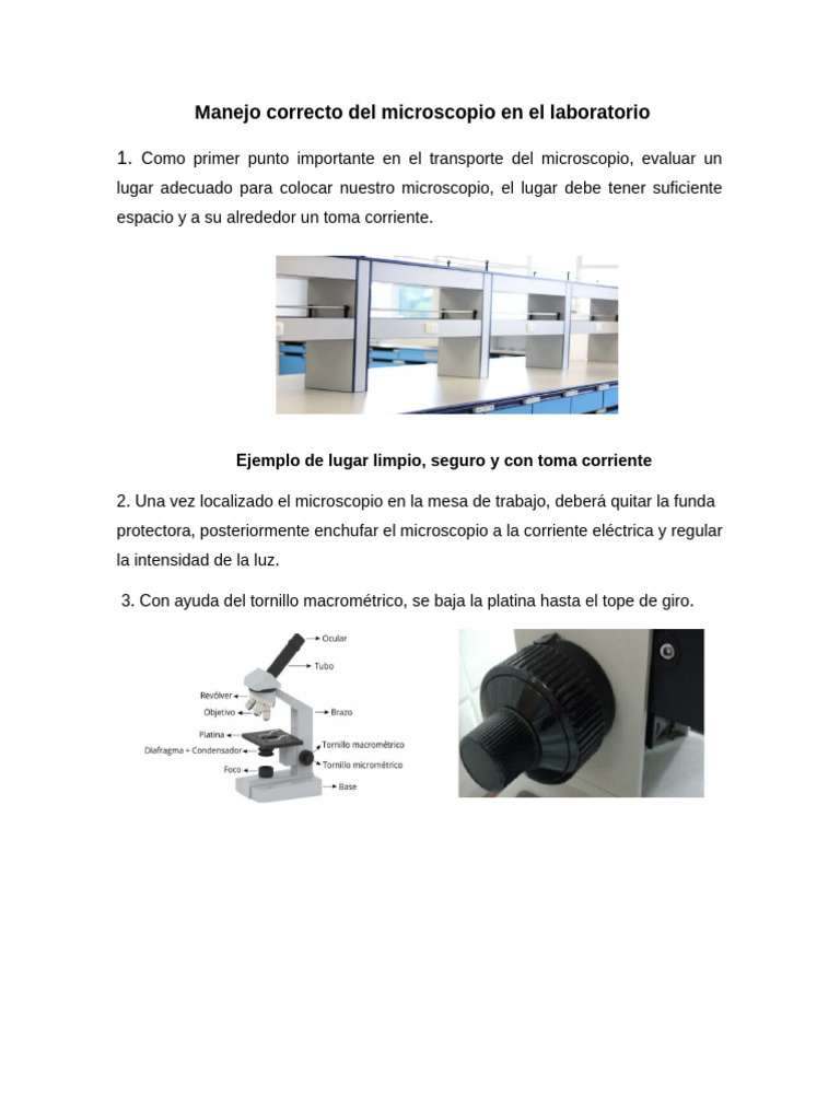 Manejo Correcto Del Microscopio en Laboratorio | PDF | Microscopio ...