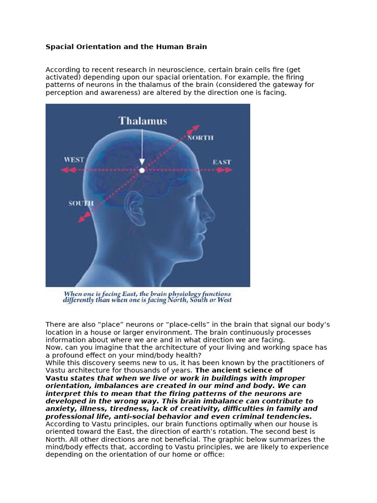 Eco City Europe - Spacial Orientation and The Brain | PDF | Brain | Mind