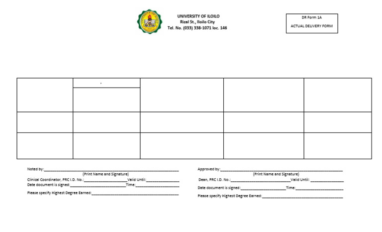 Actual Delivery Documentation Form | PDF | Public Services | Nursing